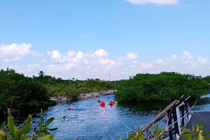 Yalku lagoon and turtles akumal sanctuary - A Closer Look at the Tour Experience