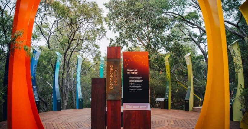 Yallingup: Ngilgi Cave Ancient Lands Experience - Key Points
