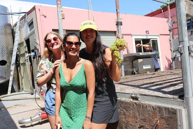 YAMAS - Winery Tour &Wine Tasting - The Douloufakis Winery