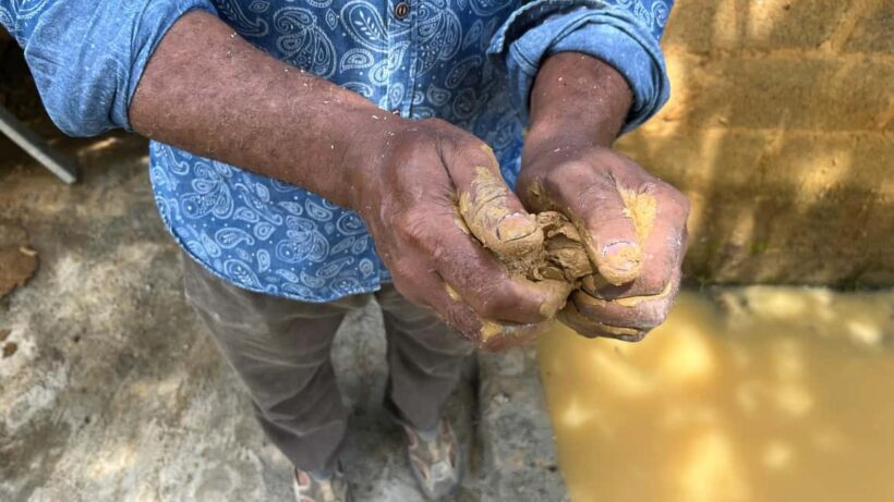 Yamasá: Discover the Taíno Heritage with Local Artisans - Key Points