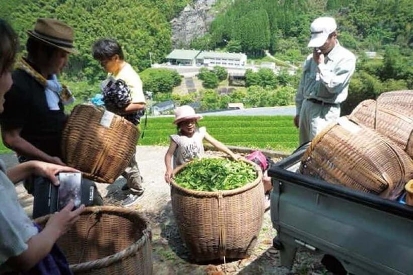 Yame & Kurume Tea Fields & Craft Tour  From Farm to Cup - Discovering Japan’s Countryside: Yame & Kurume