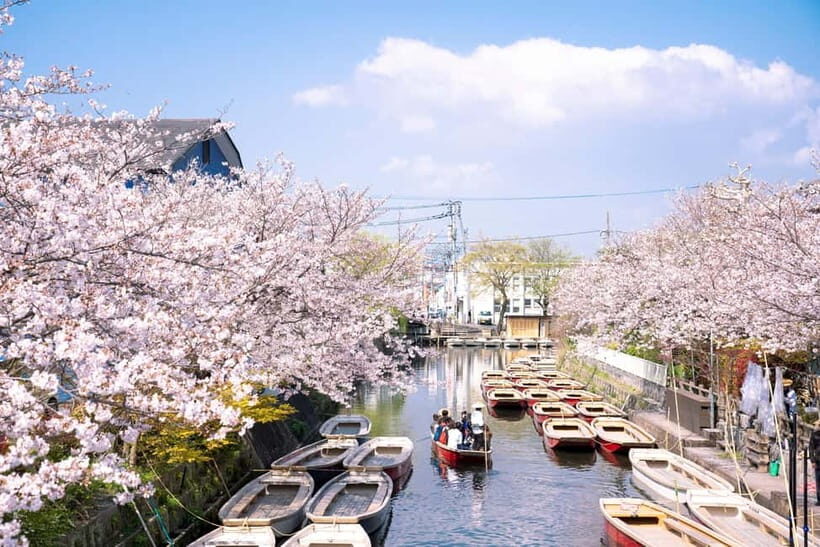 Yanagawa: Original Boat Tour - An Overview of the Experience