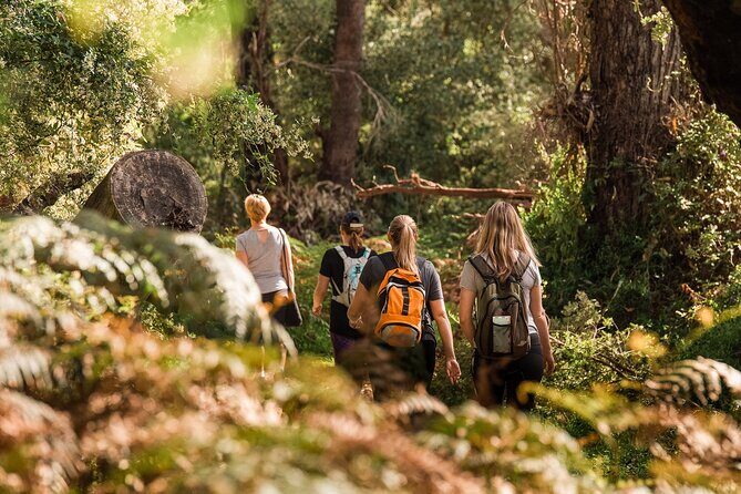 Yanchep Ultimate Adventure Guided Hike Tour - Introduction: A Closer Look at the Yanchep Ultimate Adventure Guided Hike Tour