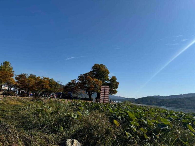 Yangpyeong Day Trip:Nature, Art & Cafe in Yangpyeong - Practical Tips for Travelers