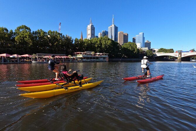 Yarra River Waterbike Tour - What to Expect from the Experience