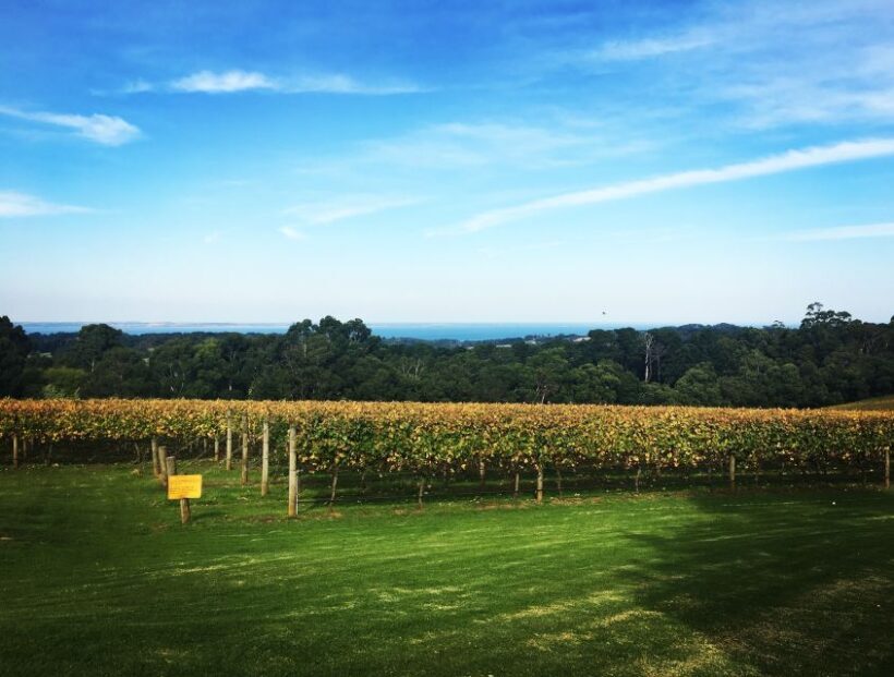 Yarra Valley and Dandenong Ranges: Scenic Bus Tour and Lunch - Key Points