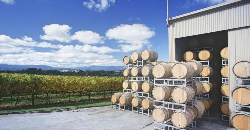 Yarra Valley and Dandenong Ranges: Scenic Bus Tour and Lunch - Discovering the Beauty of the Dandenong Ranges and Yarra Valley