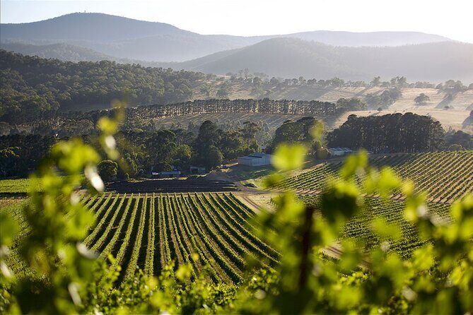 Yarra Valley Small Group with Lunch and Gin Tasting Four Pillars - FAQs