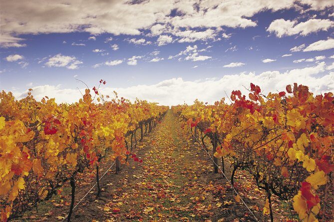 Yarra Valley Wildlife & Wine Day Tour with Healesville Sanctuary - Who Is This Tour Best For?