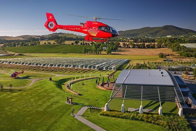Yarra Valley Wine & Wildlife - Private Regional Tour - Why Choose the Yarra Valley Wine & Wildlife Private Tour?