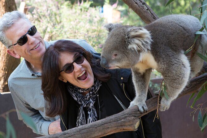 Yarra Valley Wine & Wildlife - Private Regional Tour - Who Will Love This Tour?