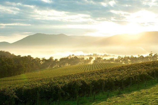 Yarra Valley Wine & Wildlife - Private Regional Tour - Final Thoughts