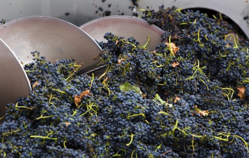 Yarra Valley: Winery Tour with Lunch at Yering Station - Why Choose This Tour?