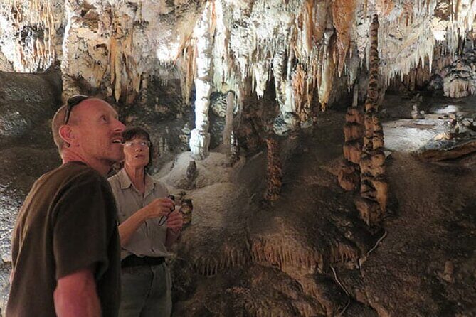 Yarrangobilly Caves: Jersey Cave Guided Tour - Yarrangobilly Caves: Jersey Cave Guided Tour — An Authentic Underground Adventure