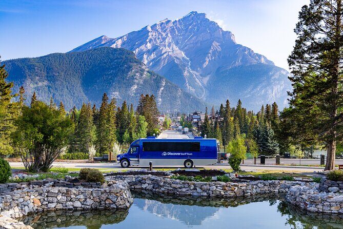 Year Round Tour: Banff and its Wildlife - An In-Depth Look at the Tour Experience