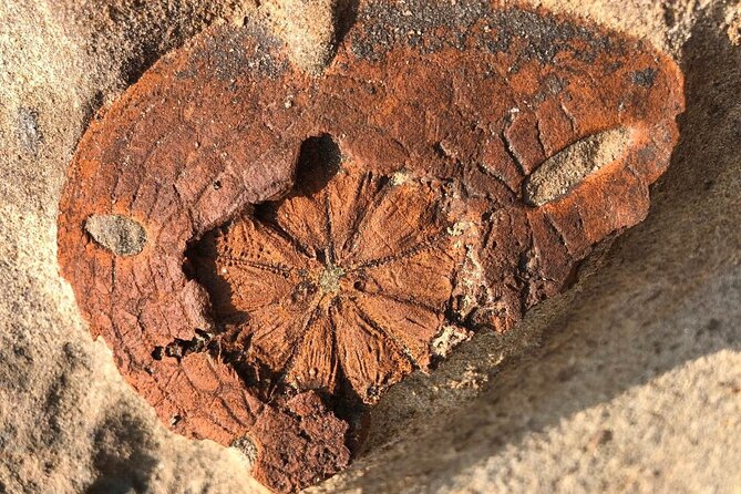 Yehliu, Jiufen & Pingxi Day Tour from Taipei - Final Thoughts: Is It Worth Signing Up?