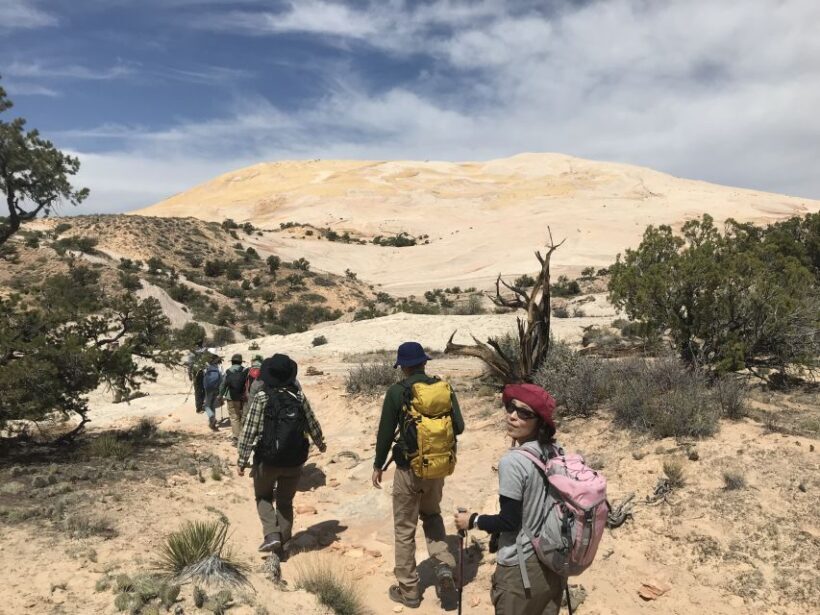Yellow Rock, Utah: Advanced Hiking Tour - Authentic Experience and Authenticity