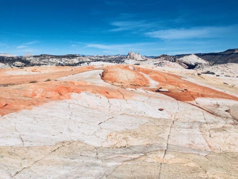 Yellow Rock, Utah: Advanced Hiking Tour - Who Should Consider This Tour?