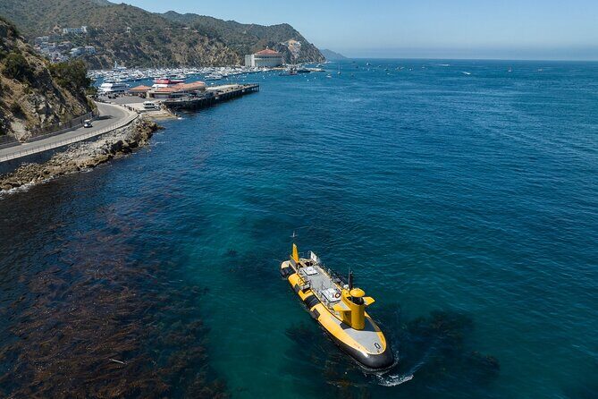Yellow Semi-Submarine Tour of Catalina Island From Avalon - Key Points