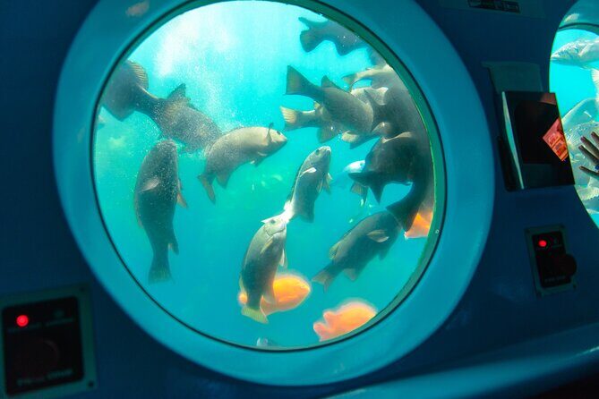Yellow Semi-Submarine Tour of Catalina Island From Avalon - A Closer Look at the Tour Itinerary