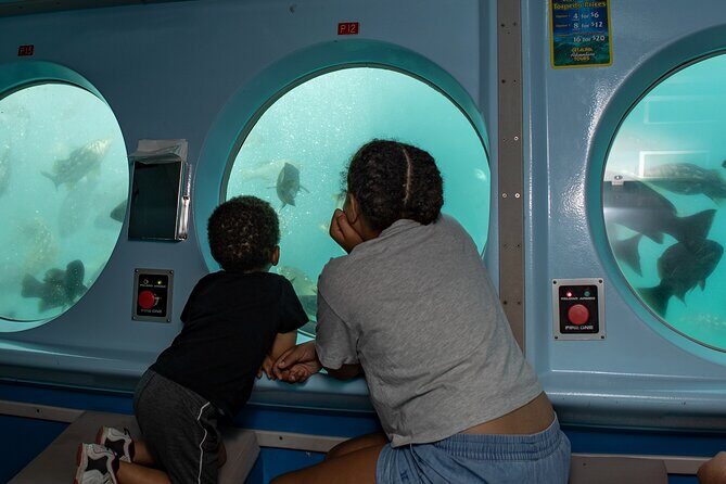 Yellow Semi-Submarine Tour of Catalina Island From Avalon - Practical Tips for Your Tour