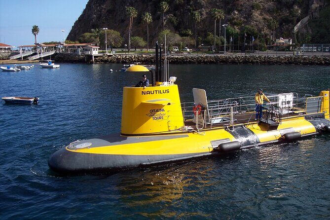 Yellow Semi-Submarine Tour of Catalina Island From Avalon - Frequently Asked Questions