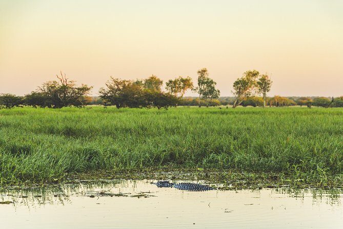 Yellow Water Cruise - Kakadu - Final Thoughts