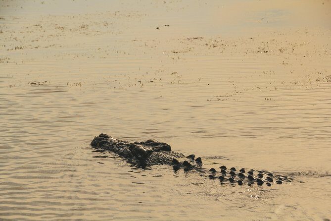 Yellow Water Cruise - Kakadu - FAQ