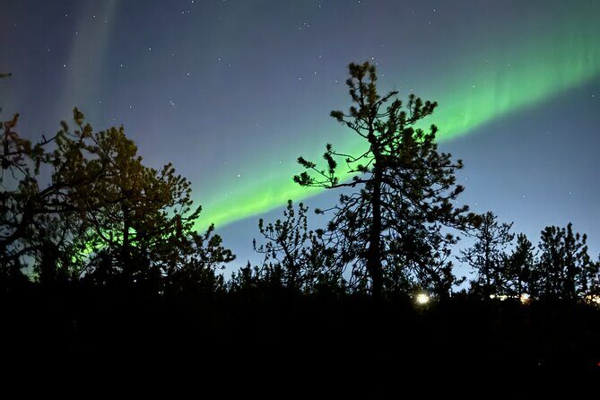 Yellowknife Aurora Hunting Tour - Key Points