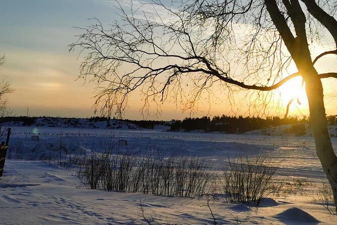 Yellowknife City Tour + Nature's North Wildlife Gallery - What We Love and What to Consider