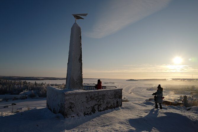 Yellowknife City Tour + Nature's North Wildlife Gallery - Who Should Consider This Tour?