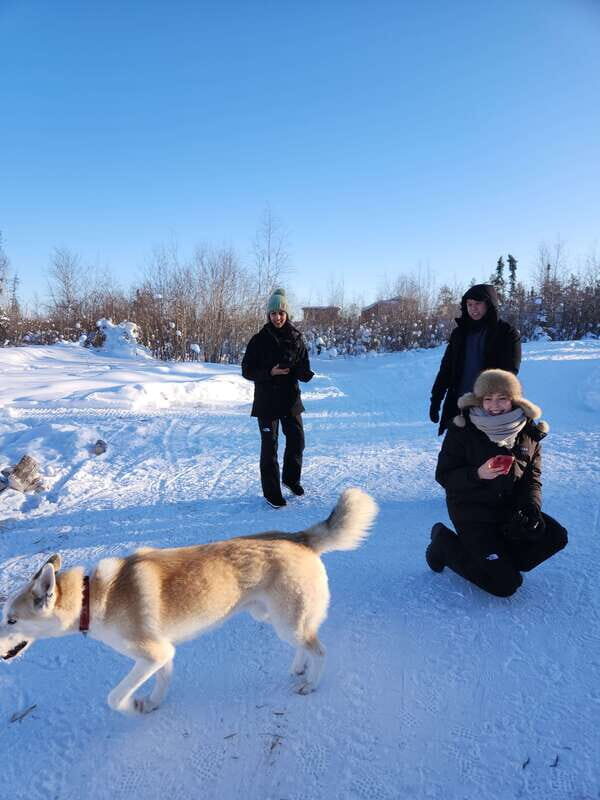 Yellowknife: Dog Sledding Tour - FAQs