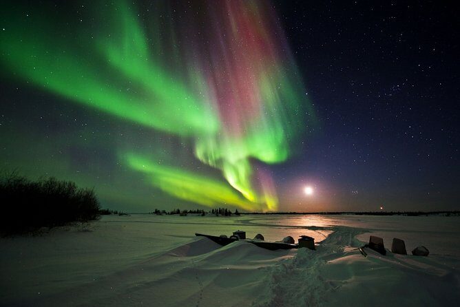Yellowknife Tours - Aurora by bus - The Sum Up