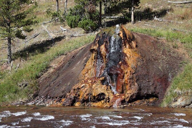 Yellowstone For Kids All-inclusiveFamily Fun Tours PU Cody Wy - A Close Look at the Experience