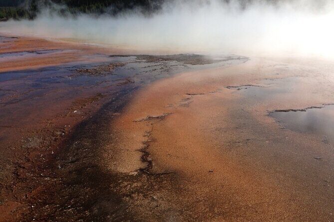 Yellowstone For Kids All-inclusiveFamily Fun Tours PU Cody Wy - Final Thoughts