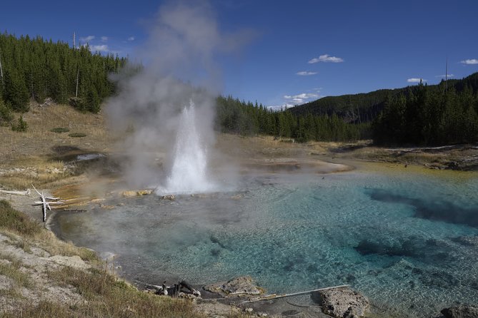 Yellowstone Full Day Private Tour - Exploring Yellowstones Geothermal Wonders