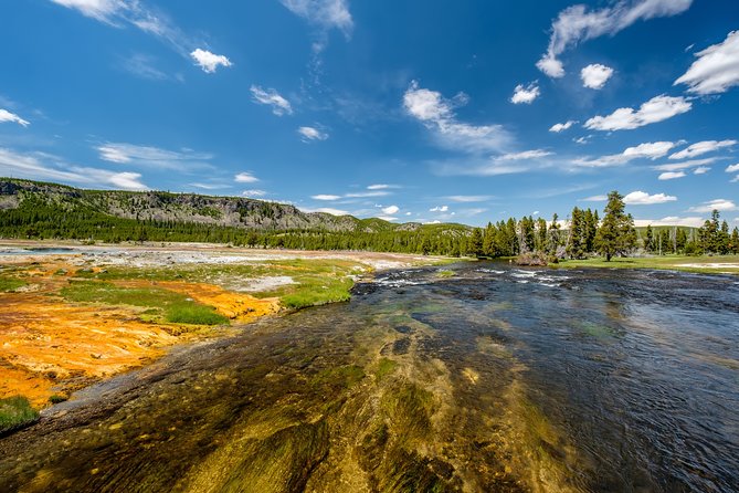 Yellowstone Full Day Private Tour - Wildlife Viewing and Photography Opportunities