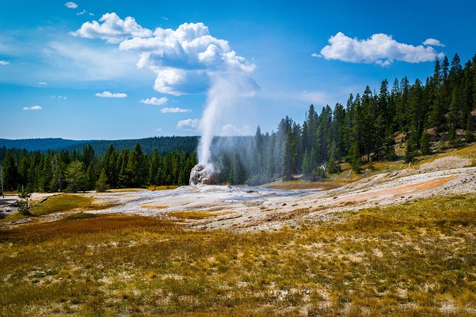 Yellowstone Full Day Private Tour - Customizing Your Yellowstone Adventure