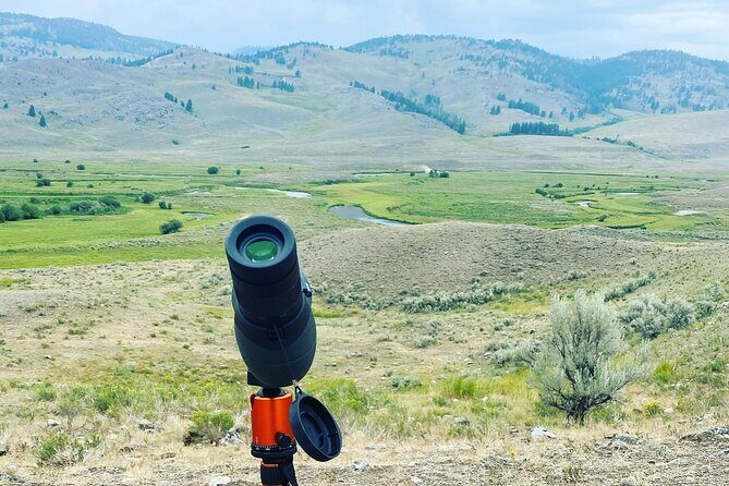 Yellowstone Full-Day Upper Loop with Wildlife Adventure w/Lunch - The Sum Up