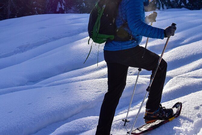 Yellowstone Full Day Winter Tour (With Optional Hike or Snowshoe) - Frequently Asked Questions