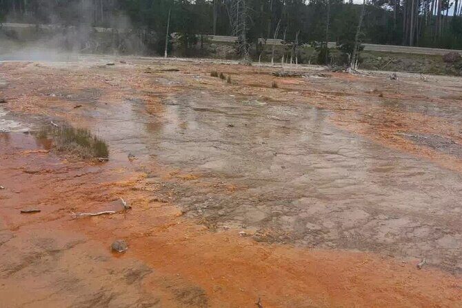Yellowstone Grand Teton and Coeur dAlene 5-Day Tour from Seattle - Introduction