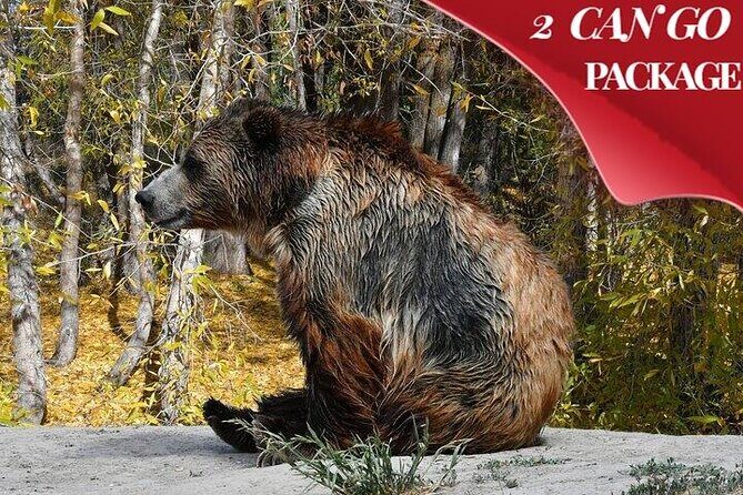 Yellowstone, Grand Teton, and Hot Springs: Small Group 5-Day Tour - The Experience of Guided Travel