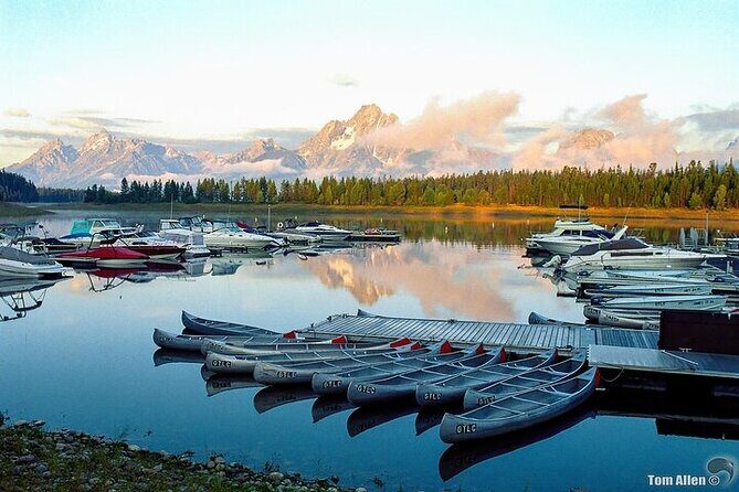 Yellowstone & Grand Teton National Parks: Small Group 6-Day Tour - Transportation, Accommodation, and Activities