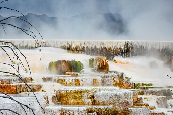 Yellowstone & Grand Teton National Parks Winter Tour 5-Day - A Well-Rounded Itinerary for Winter Wonder