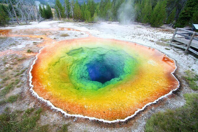 Yellowstone & Grand Teton National Parks Winter Tour 5-Day - Practical Details: Transportation, Price, and Group Size