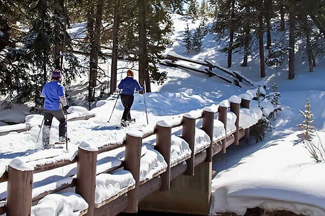 Yellowstone & Grand Teton National Parks Winter Tour 5-Day - Who Will Love This Tour?