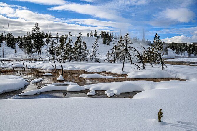 Yellowstone, Grand Teton & Utah Mighty 5 Winter Tour: Small Group 9-Day Tour - FAQ