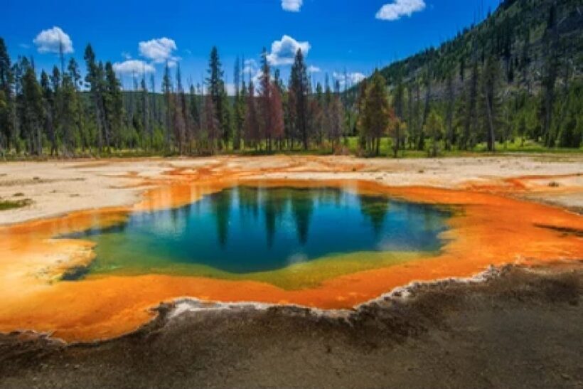 Yellowstone & Grand Tetons: 4-Day/3-Night Wildlife Adventure - An In-Depth Look at the Itinerary
