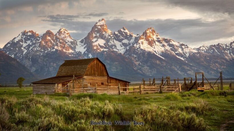 Yellowstone & Grand Tetons: 4-Day/3-Night Wildlife Adventure - Authentic Encounters and Guided Expertise