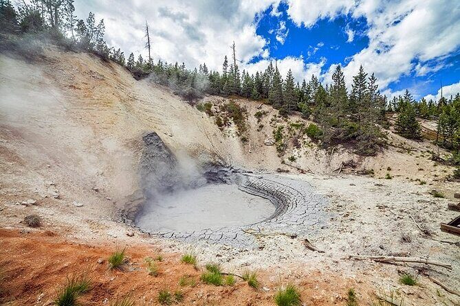 Yellowstone Lower Loop VIP Full-Day Private Tour with Lunch - An Overview of the Yellowstone Lower Loop Private Tour